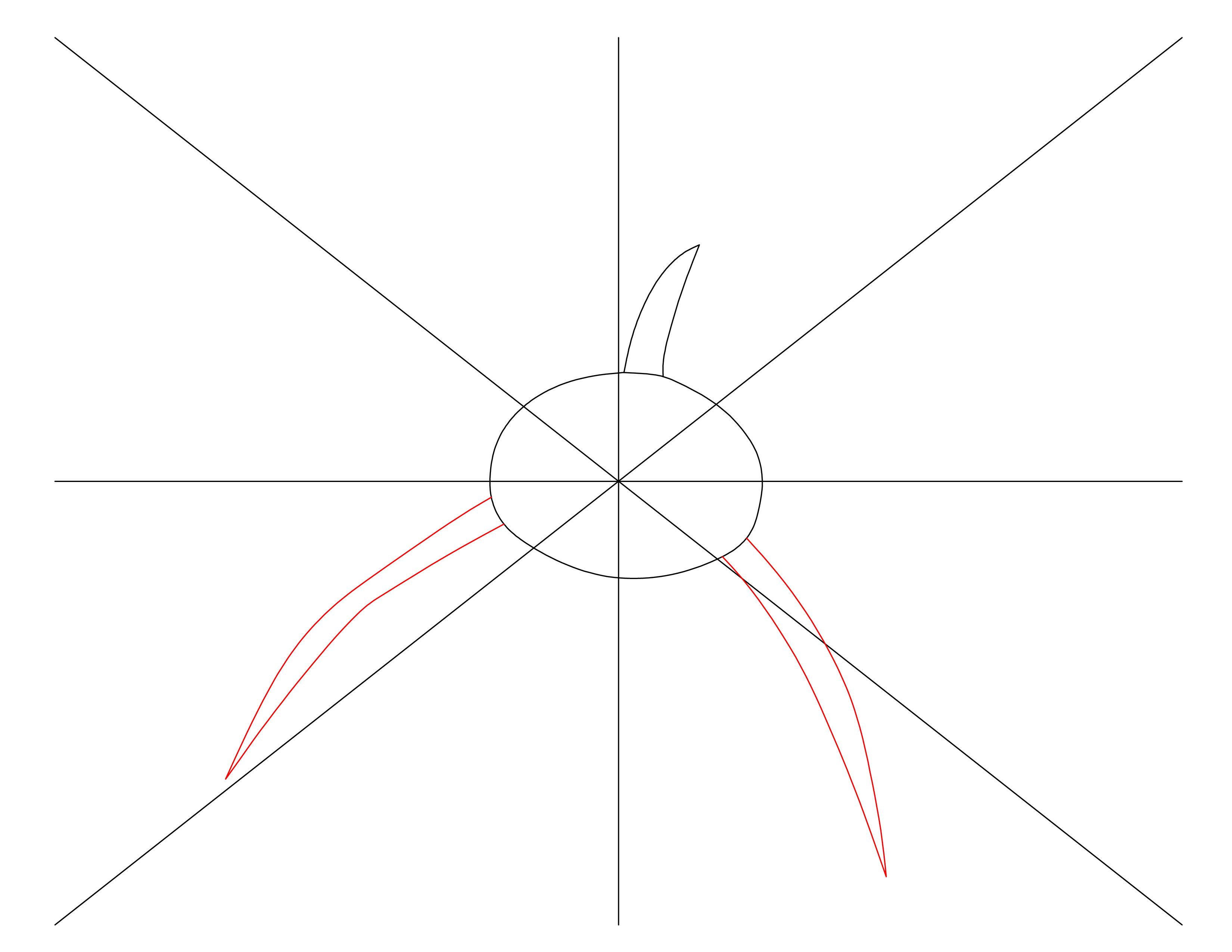 How to draw Pokemon Surskit step 4 · Windingpathsart.com